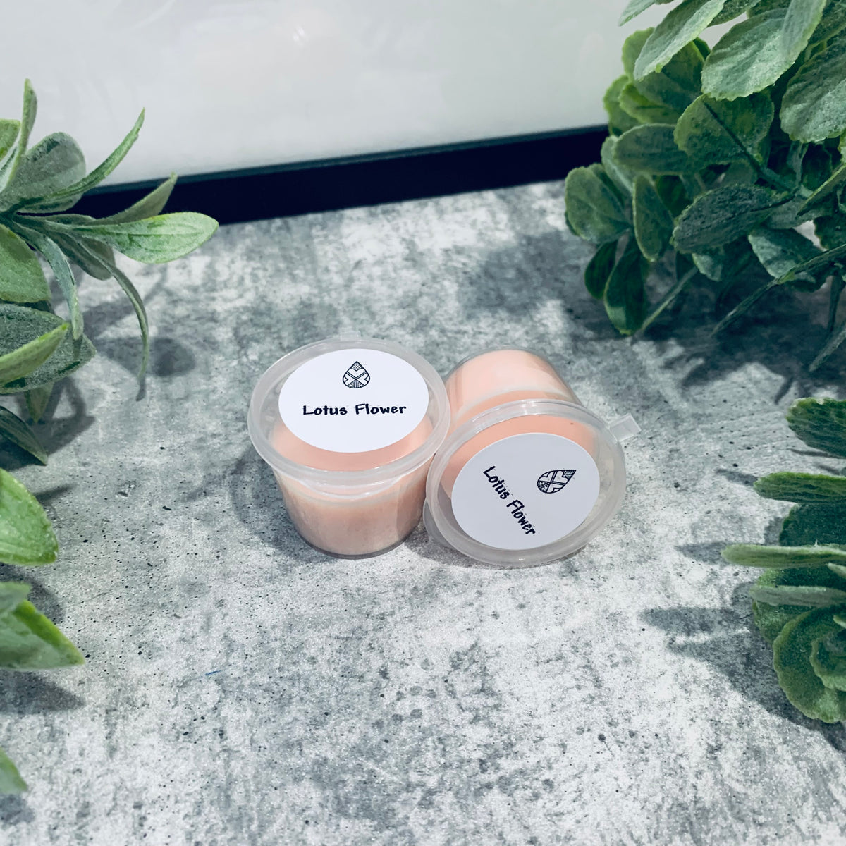 Lotus Flower • Sample Pod – Clover Essentials
